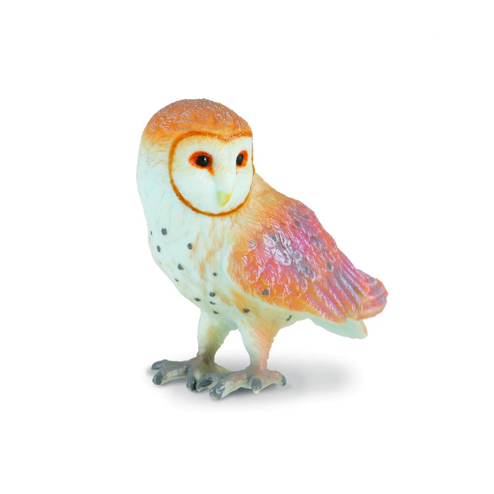 Collecta - 88003 Barn Owl · Little Sprout - Read Play Learn