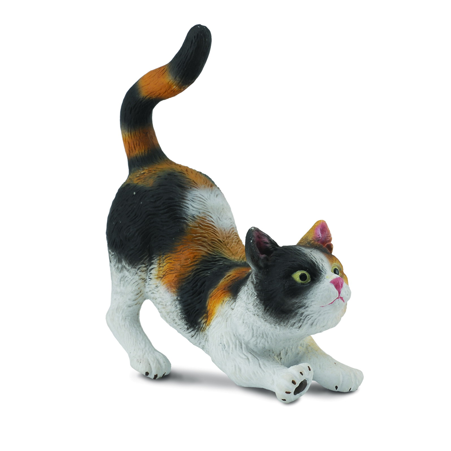 Collecta - 88491 Cat Moggy Stretching · Little Sprout - Read Play Learn