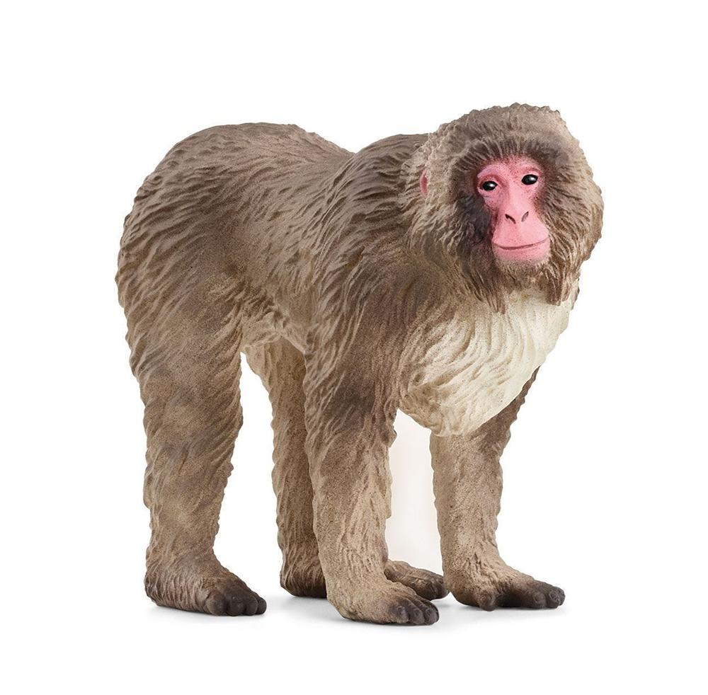 Schleich - 14871 Japanese Macaque · Little Sprout - Read Play Learn